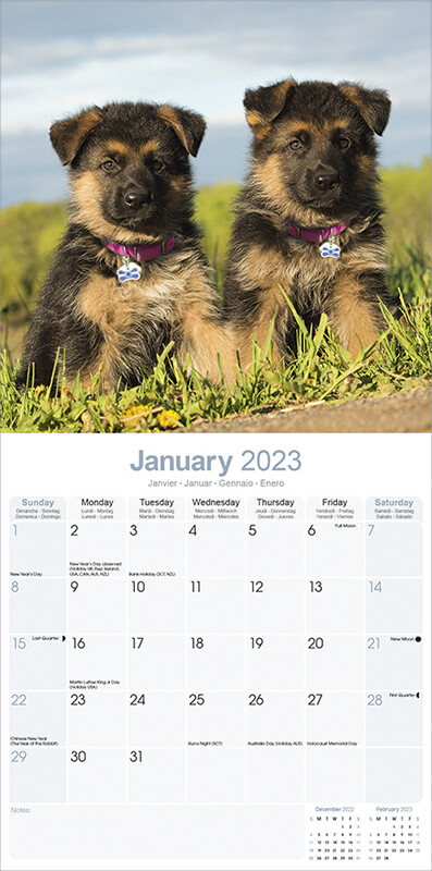 German Shepherd Calendars