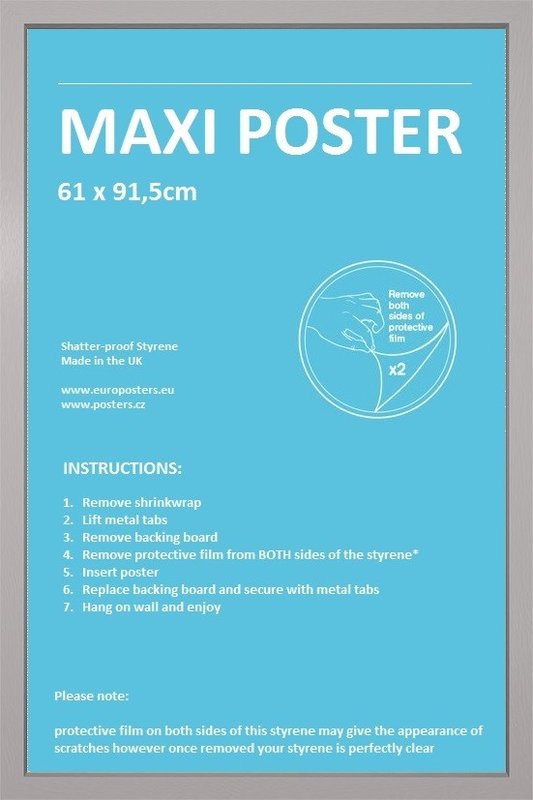 Poster frame 61x91,5 cm - Frame for your poster | Europosters