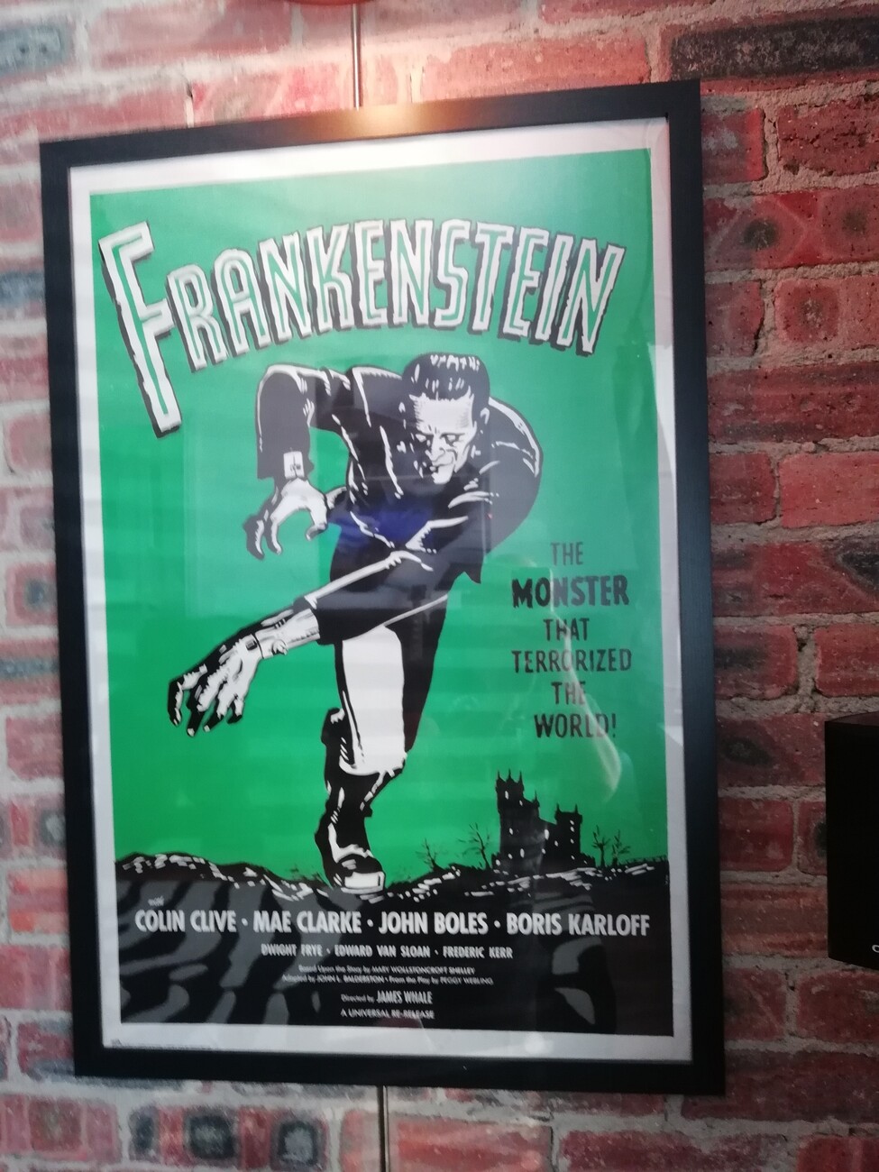 Poster, Quadro Frankenstein | Posters de parede | 3+1 GRATIS | Europosters