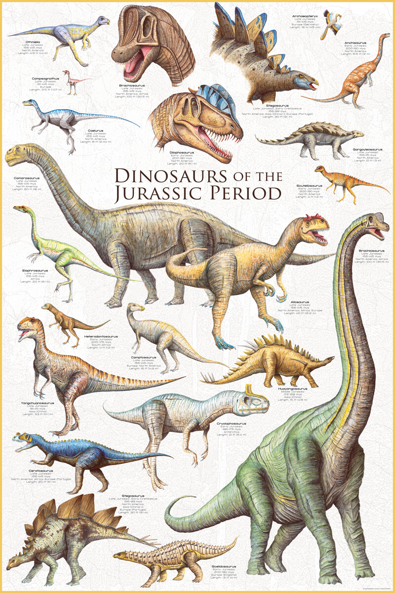 Dinosaurs of the Jurassic Plakat, Poster, Slika | Europosterji