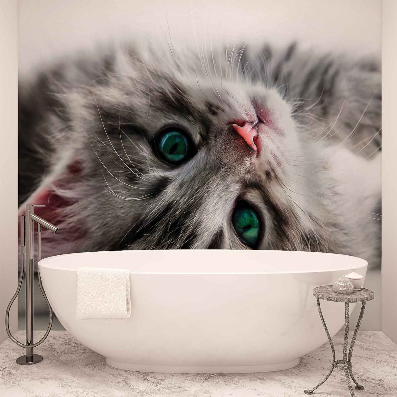 Cat Kitten Wall Paper Mural | Buy at EuroPosters