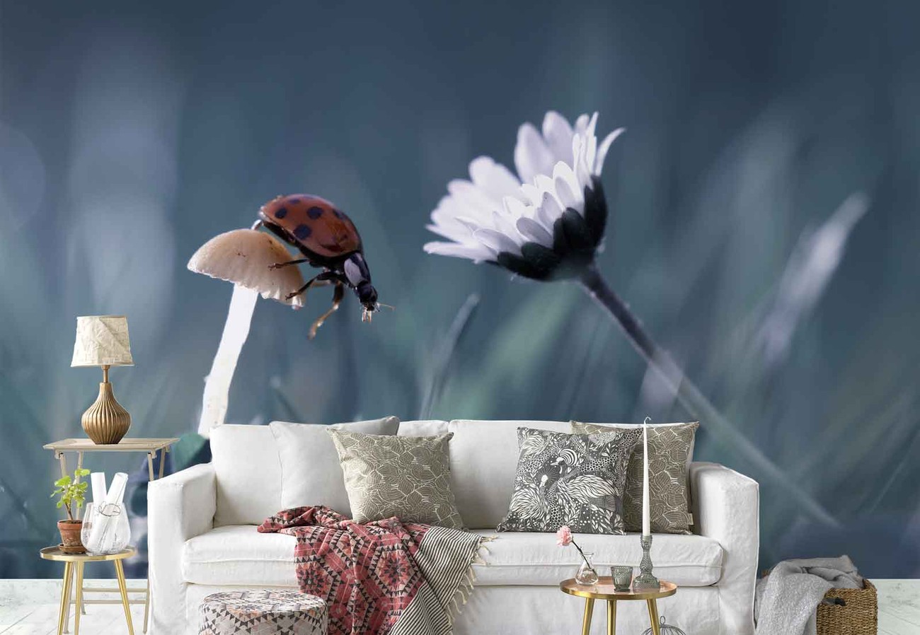 The Story Of The Lady Bug Wall Paper Mural | Buy at EuroPosters