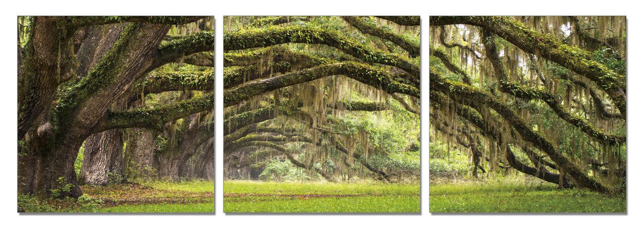 Alley - Tree Guardians Mounted Art Print | Buy at EuroPosters