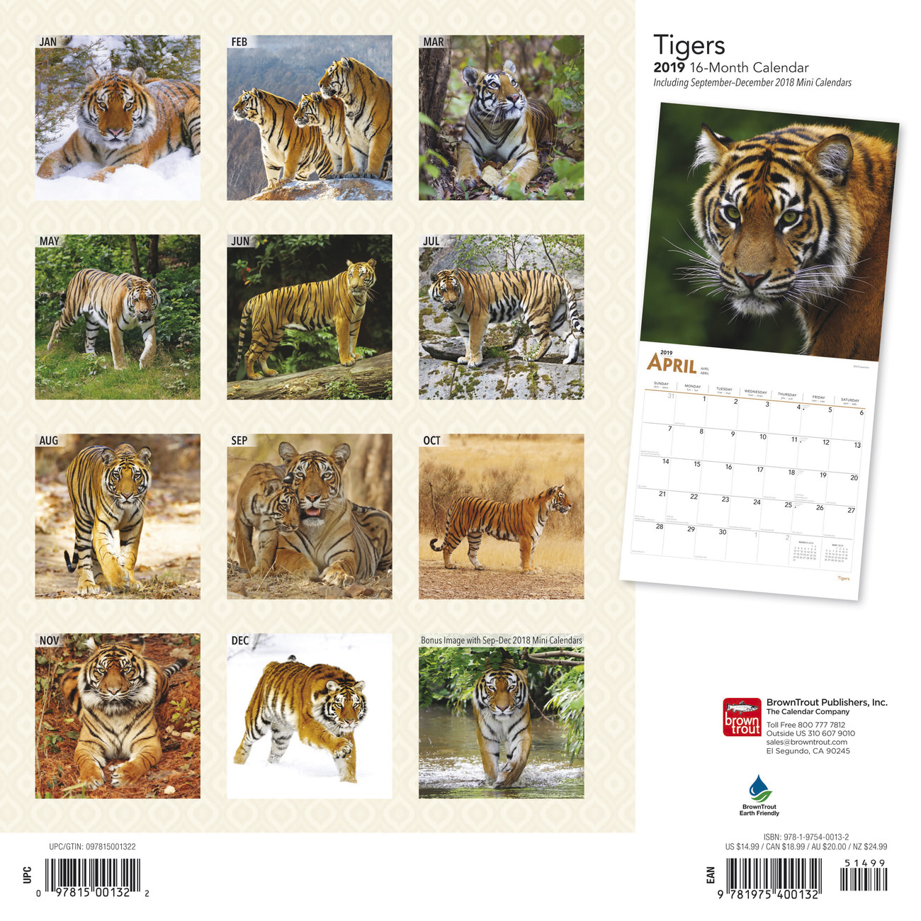 Tigers - Calendars 2021 on UKposters/UKposters