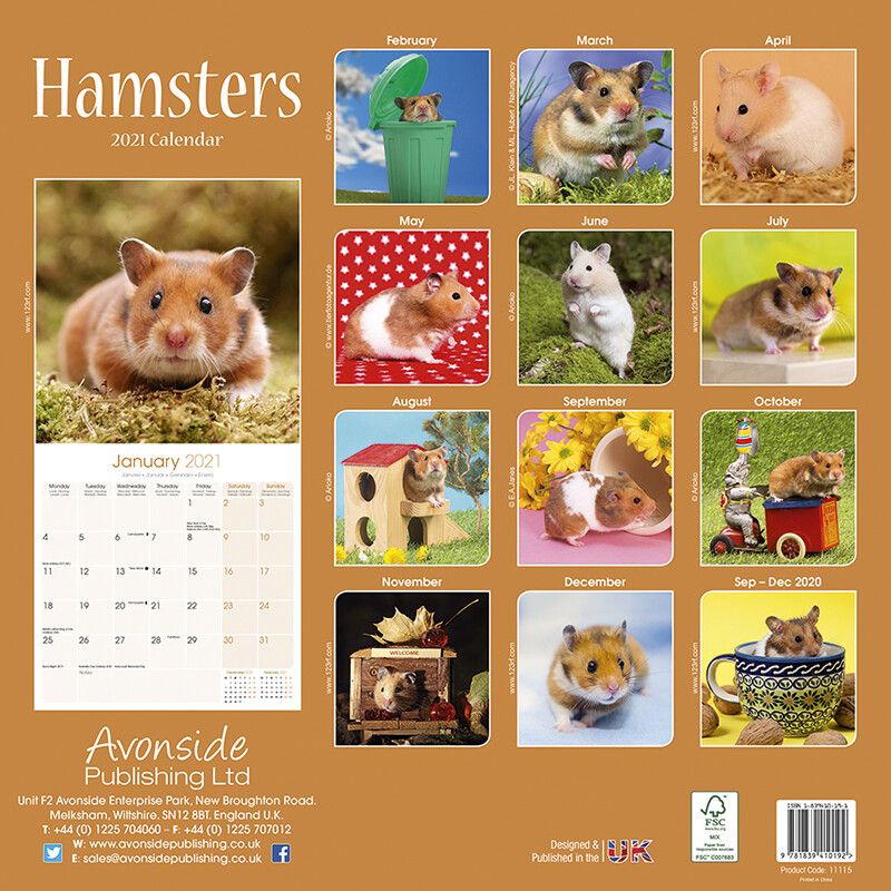Hamsters - Calendários de parede 2021 | Compre em Europosters