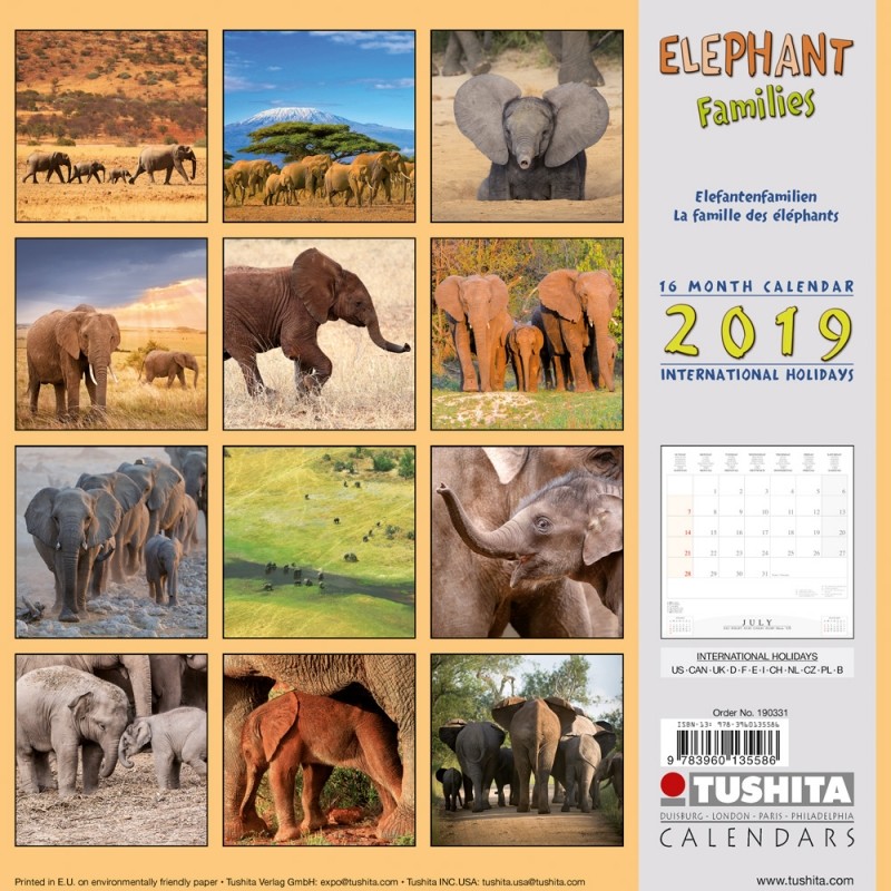 Elephant Families - Wall Calendars 2019 | Buy at Europosters