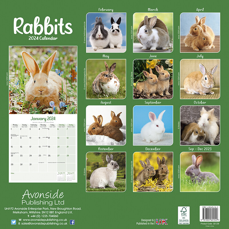 Rabbits - Wall Calendars 2024 | Buy at Europosters