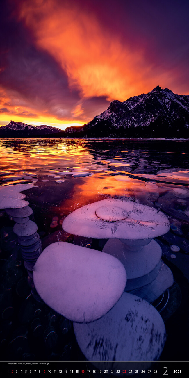 Verticalphoto Exclusive - Wall Calendars 2025 | Buy at Europosters