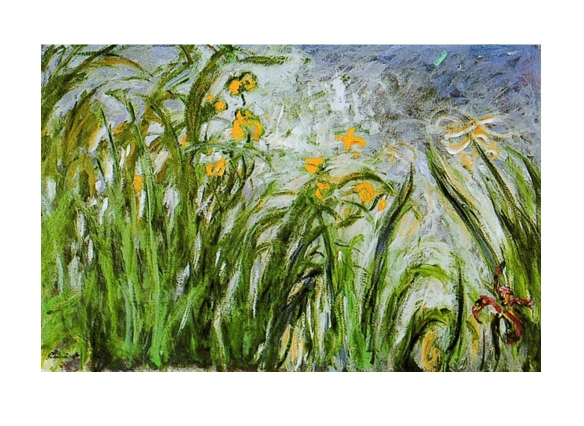 Quadri Di Fiori Di Claude Monet