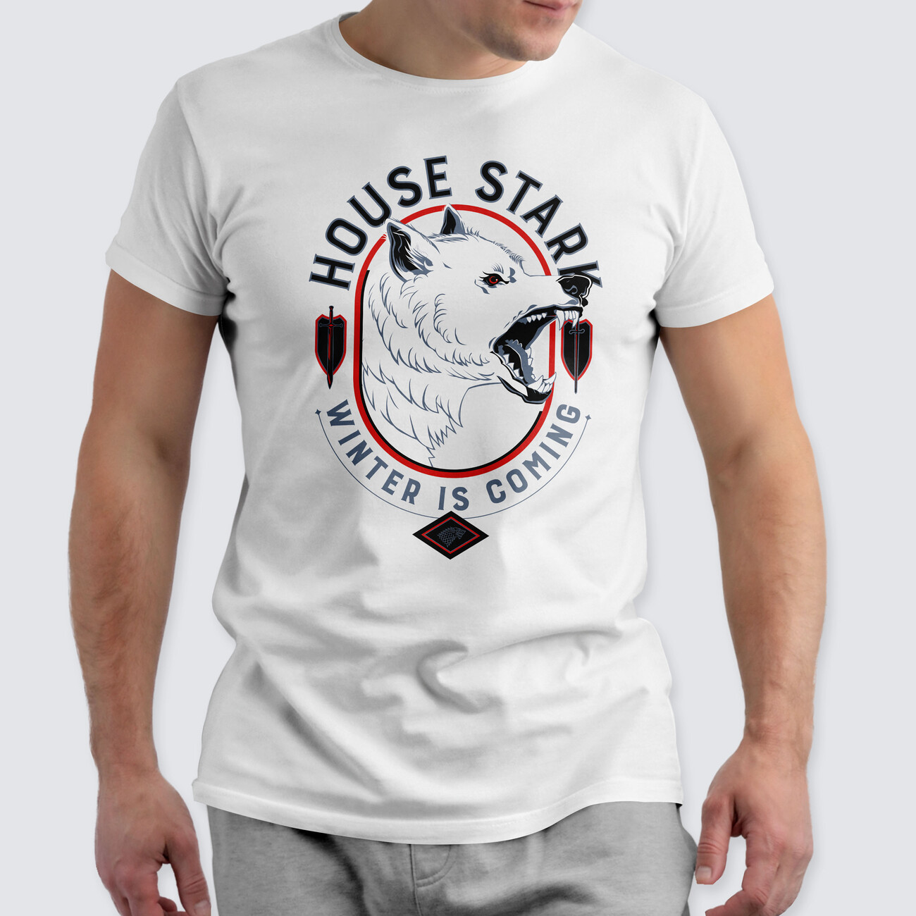 T-shirt Game of Thrones - House Stark | Tips for original gifts ...