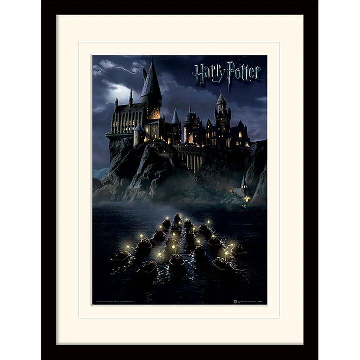 Harry Potter - Hogwarts School Framed poster | Buy at Europosters