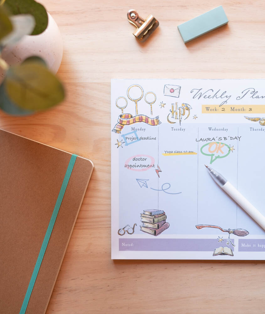 Planner Harry Potter | Tips for original gifts