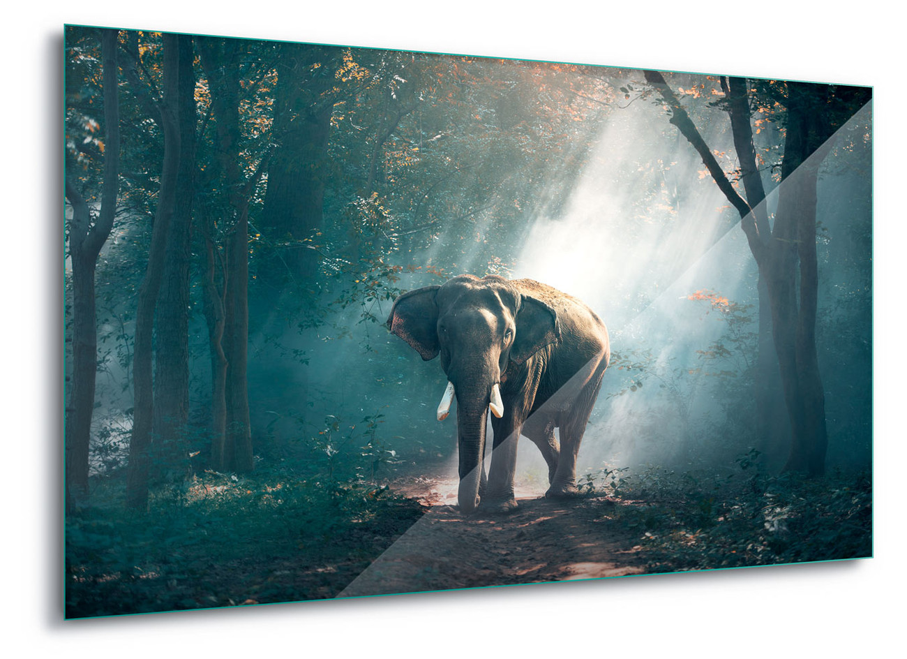 Wall Glass Art - Elephant Path | Buy at Europosters.eu