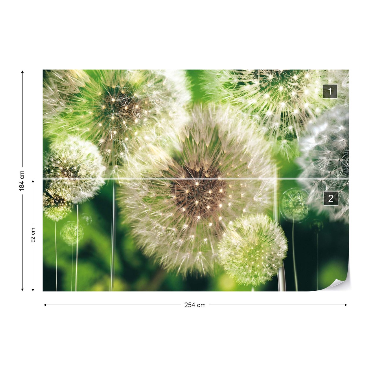 Dandelions Wall Mural | Buy online at Europosters