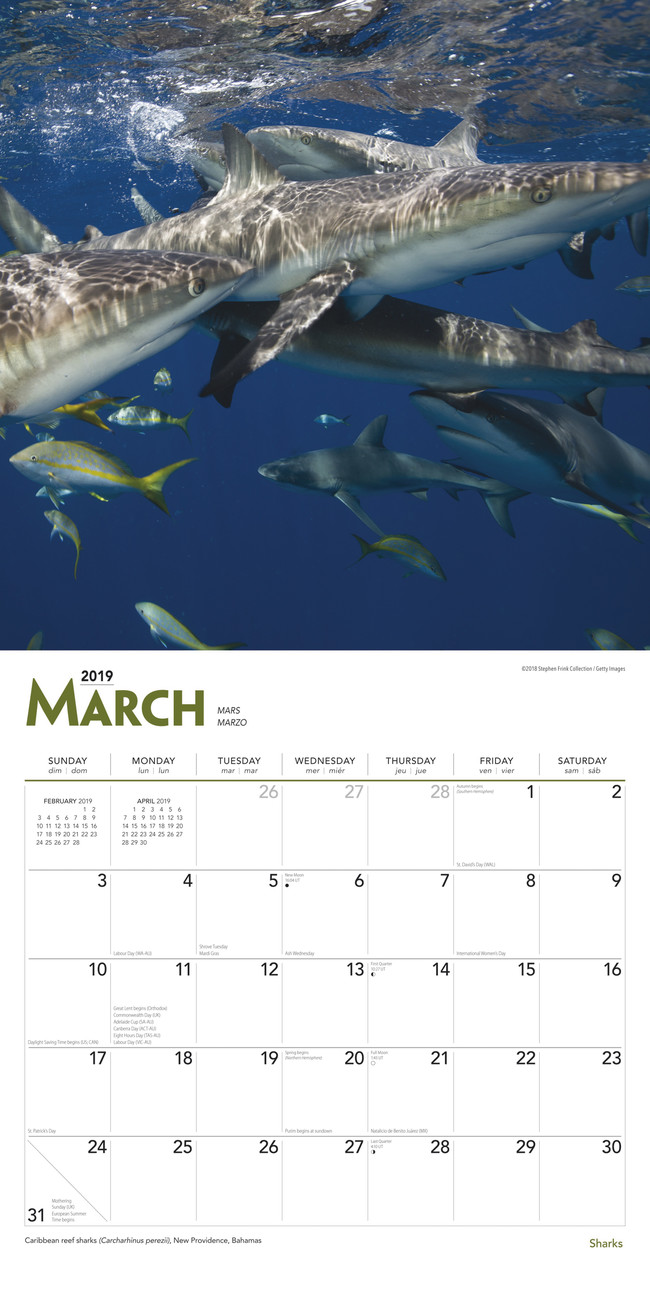 Haikala - Seinäkalenterit 2024 | Osta Europosters