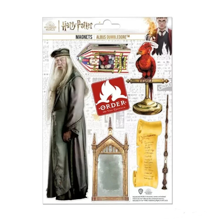 Magnet Harry Potter - Dumbledore | Tips for original gifts