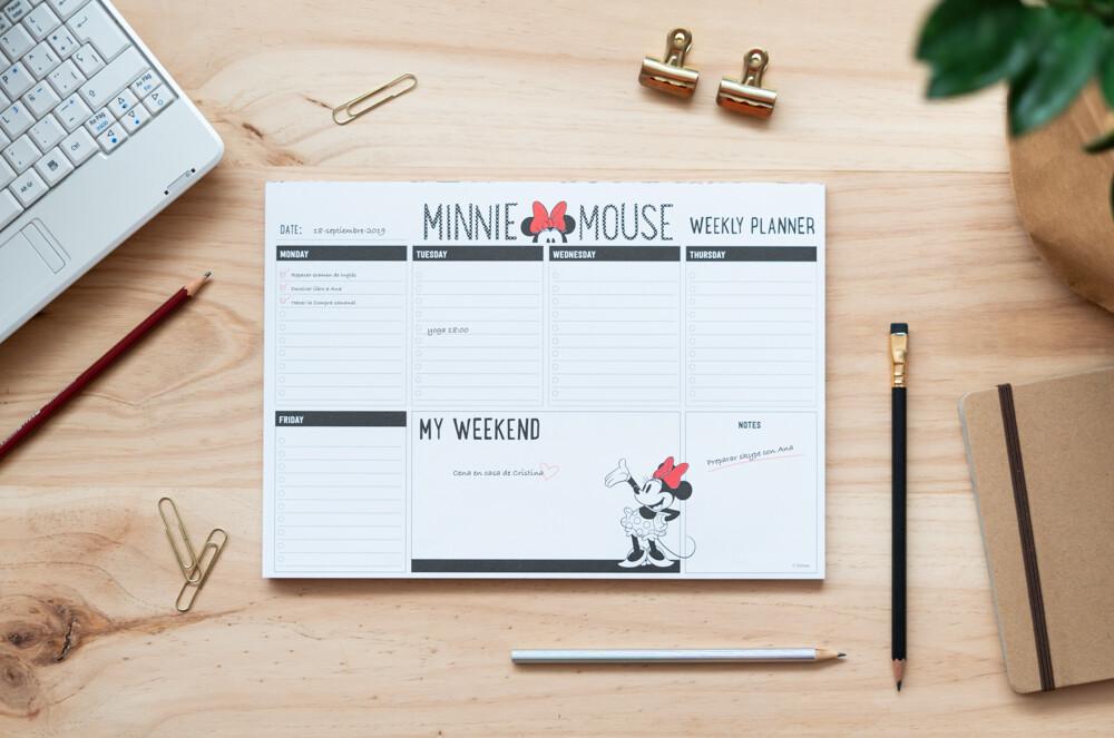 Planner Minnie Mouse | Tips for original gifts