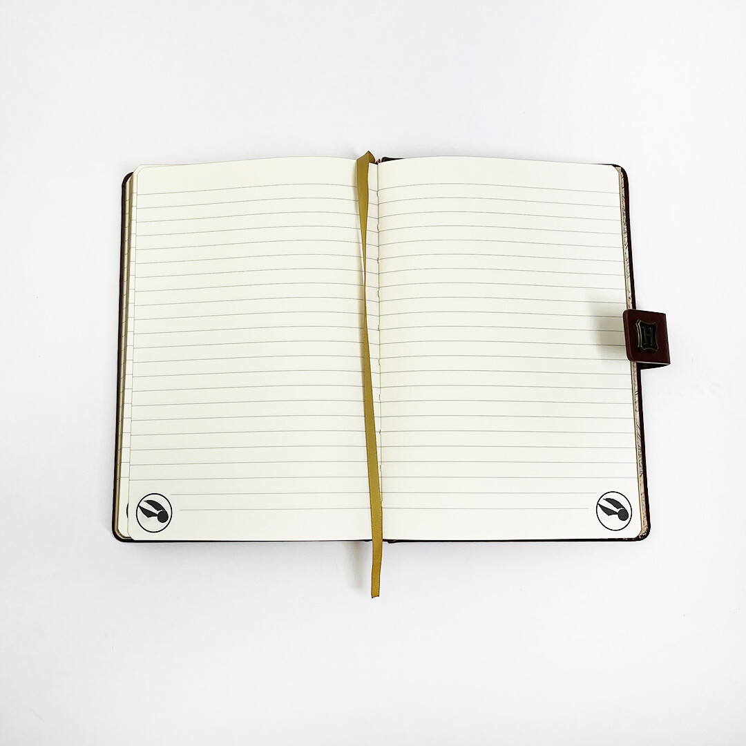 Notebook, journal Harry Potter - Golden Snitch | Tips for original ...