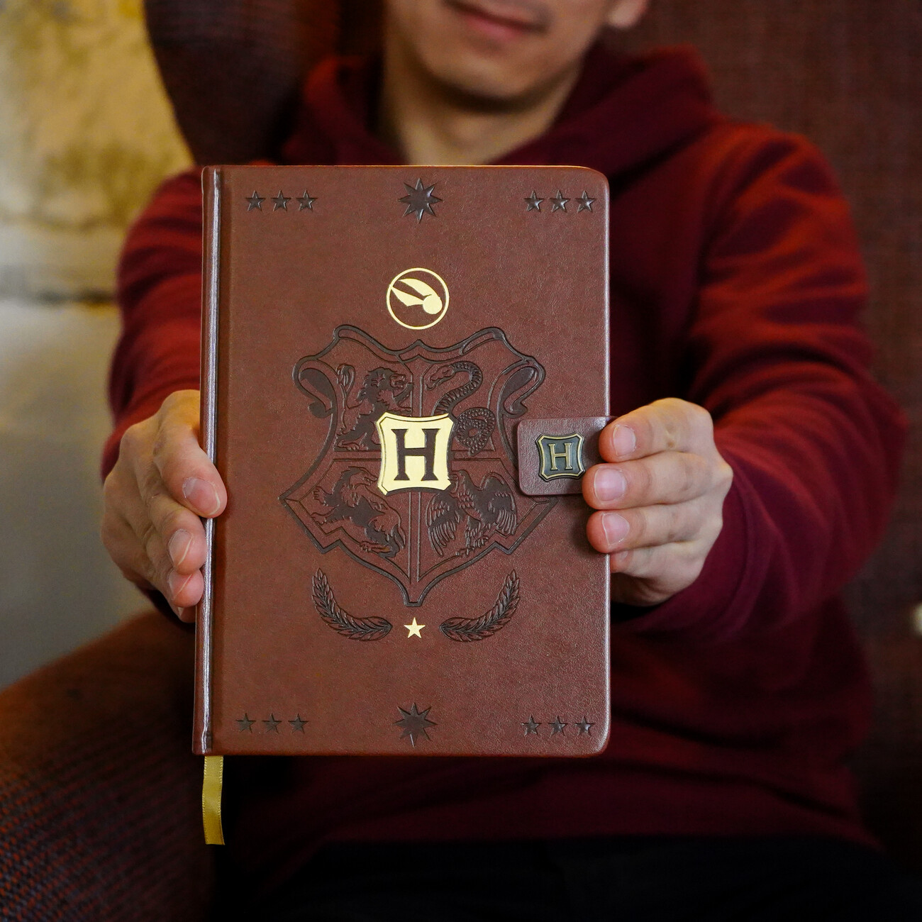 Notebook, journal Harry Potter - Golden Snitch | Tips for original ...