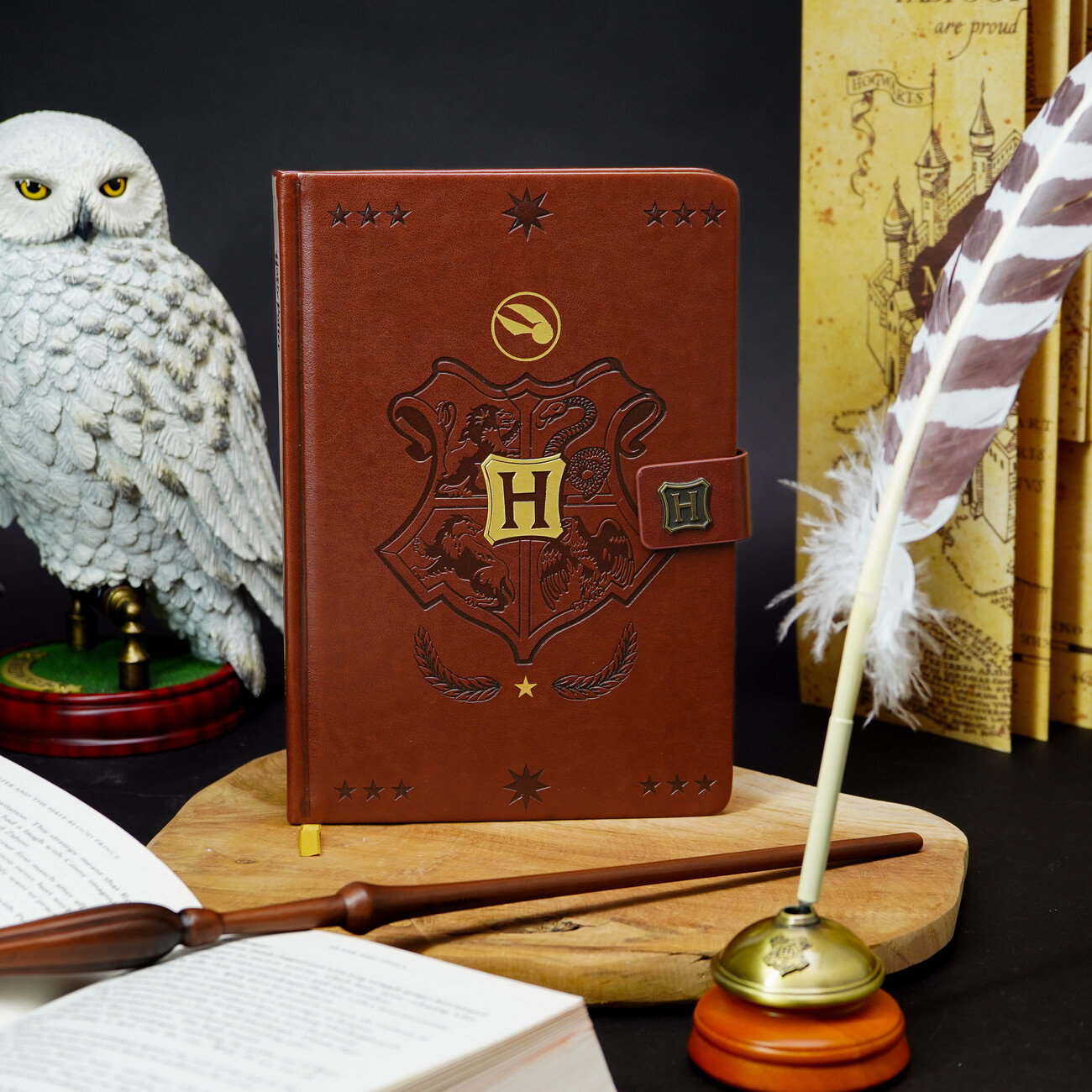 Notebook, journal Harry Potter - Golden Snitch | Tips for original ...