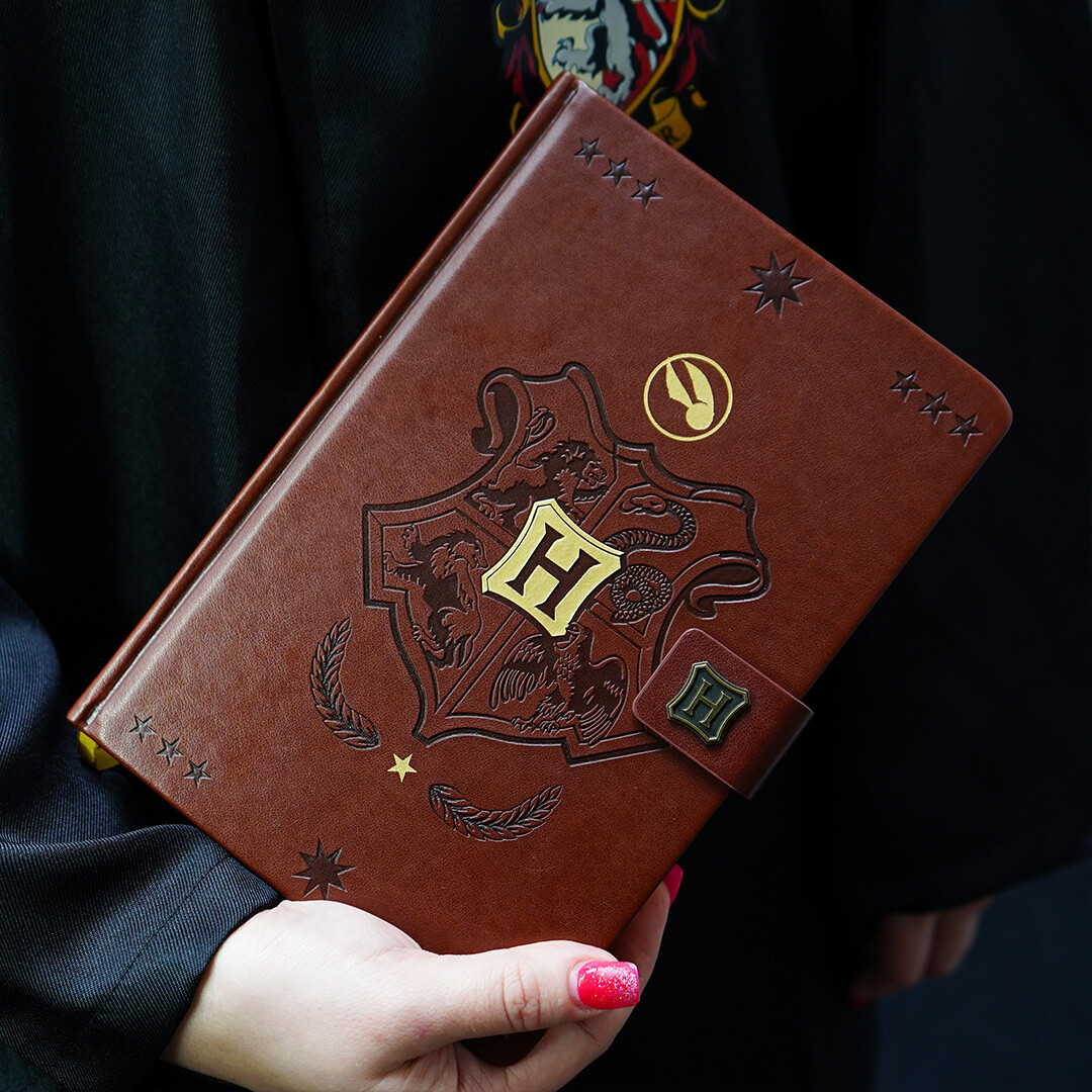 Notebook, journal Harry Potter - Golden Snitch | Tips for original ...