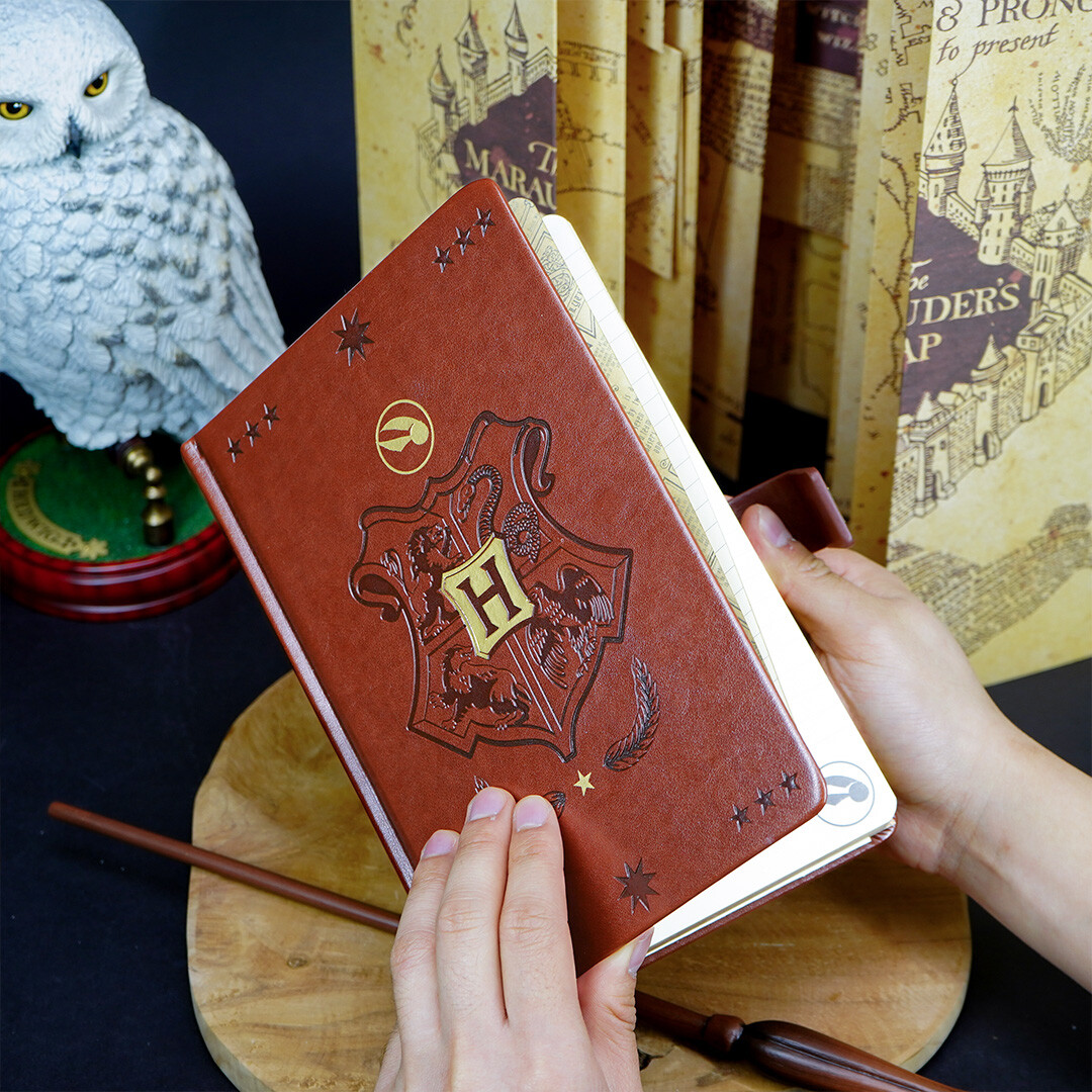 Notebook, journal Harry Potter - Golden Snitch | Tips for original ...