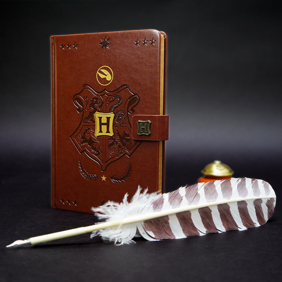 Notebook, journal Harry Potter - Golden Snitch | Tips for original ...
