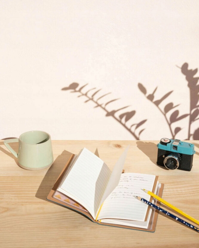 Notebook, journal The Little Prince | Tips for original gifts | Europosters