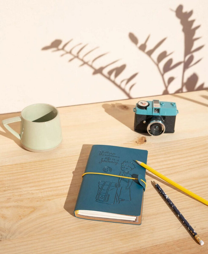 Notebook, journal The Little Prince | Tips for original gifts | Europosters