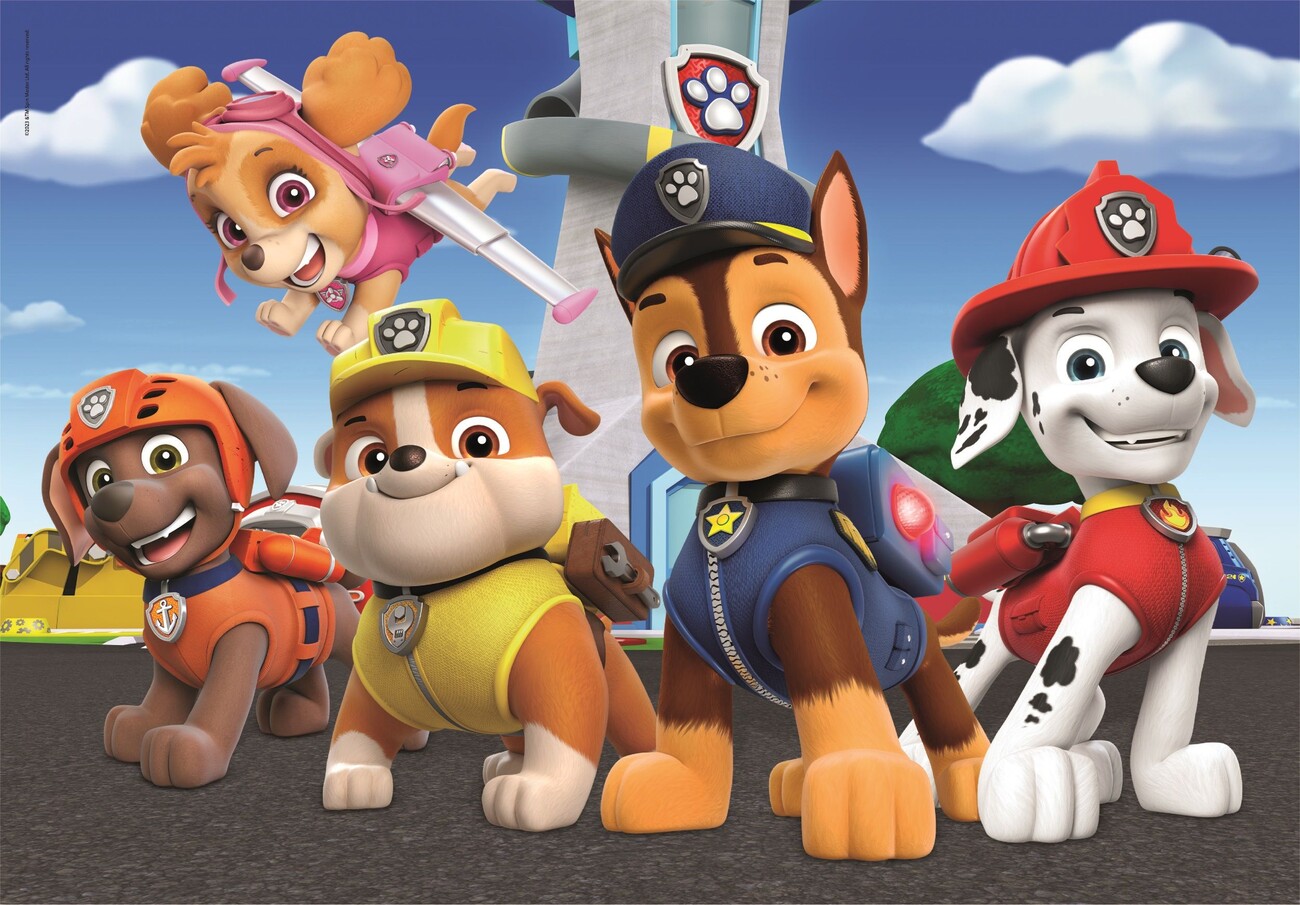 Jigsaw puzzle Paw Patrol | Tips for original gifts | Europosters