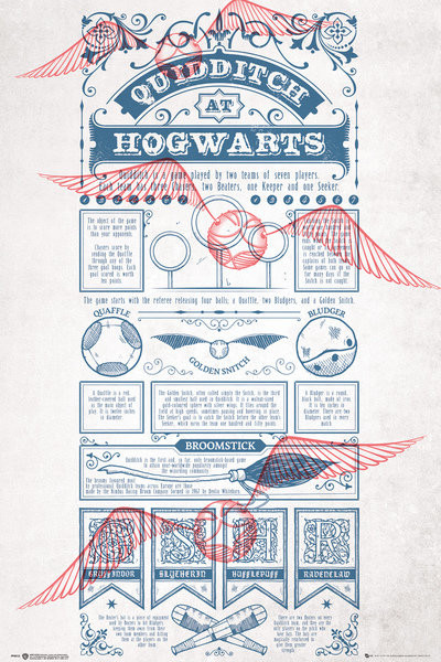 Poster, Quadro Harry Potter - Quidditch At Hogwarts | Posters de parede | 3+1 GRATIS | Europosters