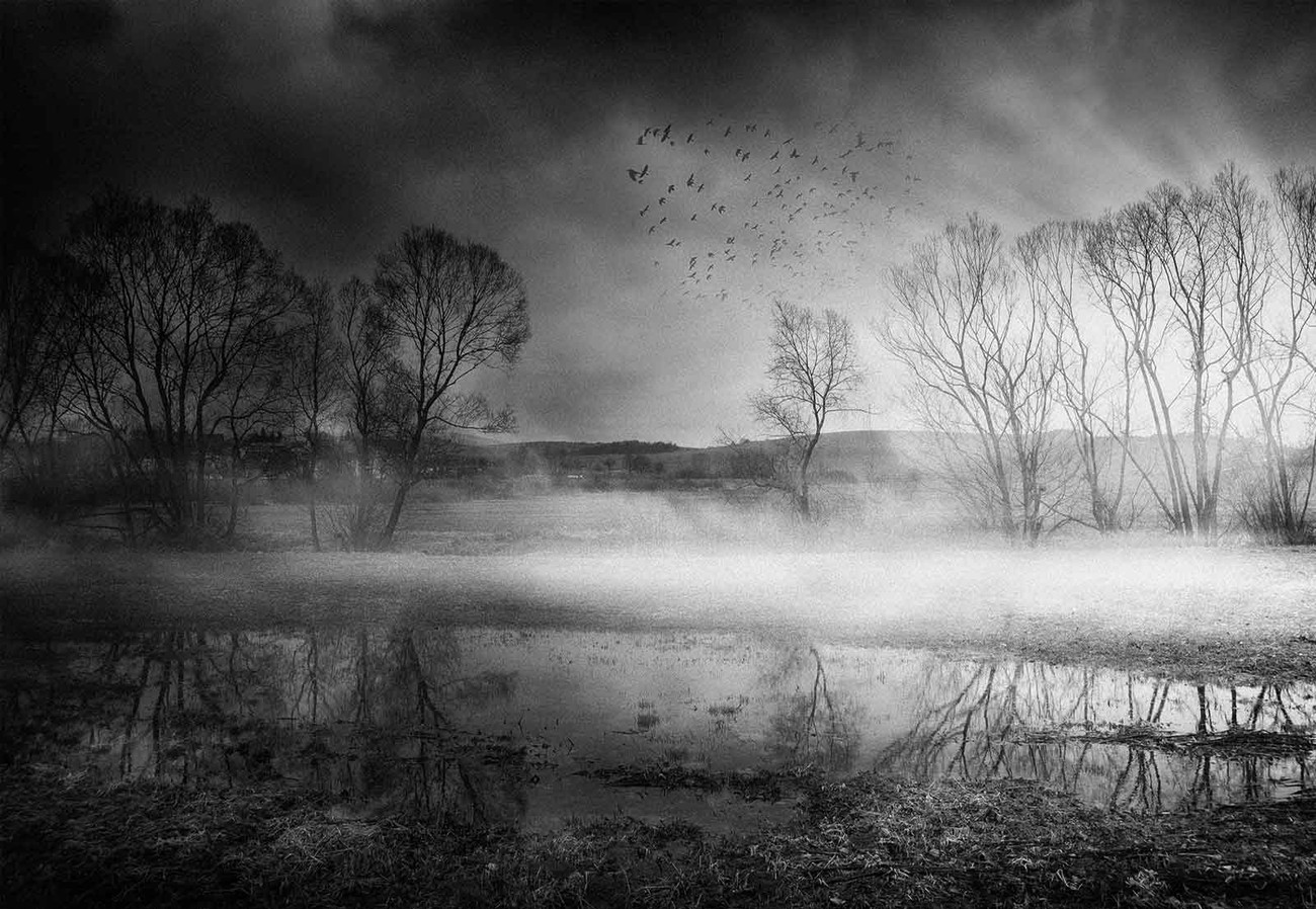 After The Rain Wall Paper Mural | Buy at EuroPosters