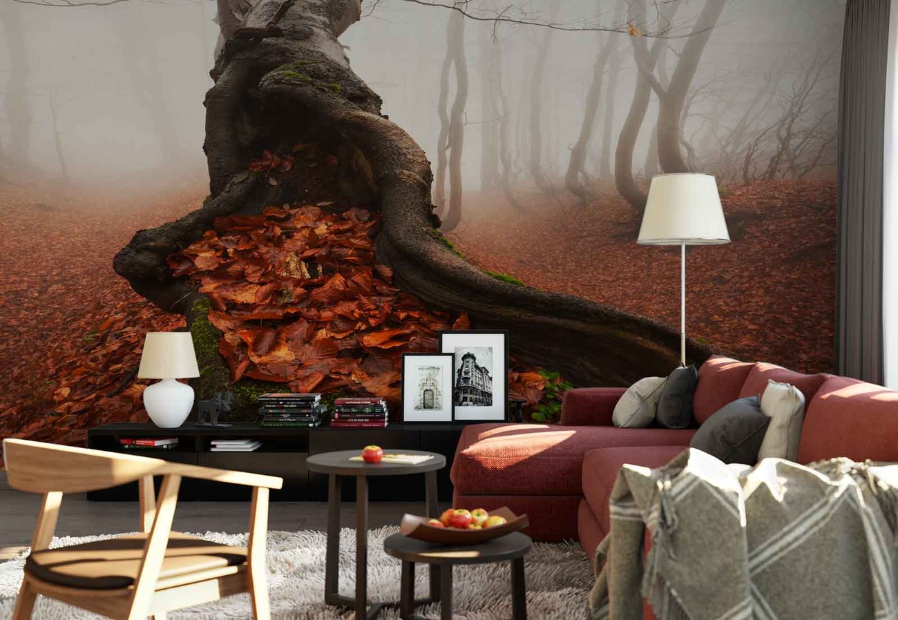 Ancient Tree Wall Paper Mural | Buy at EuroPosters