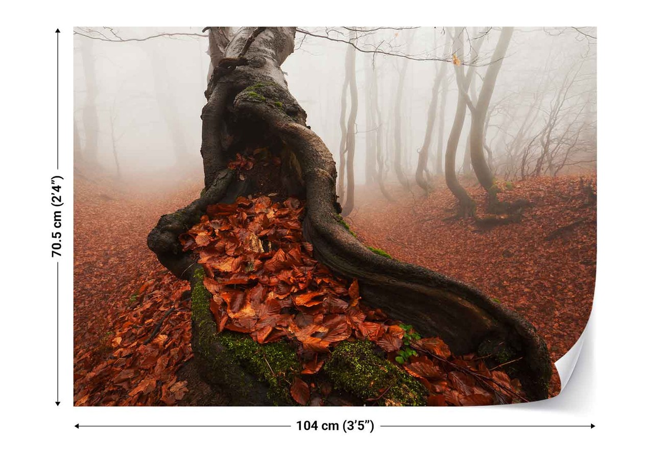 Ancient Tree Wall Paper Mural | Buy at EuroPosters