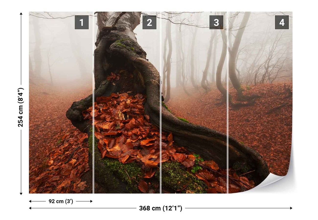 Ancient Tree Wall Paper Mural | Buy at EuroPosters