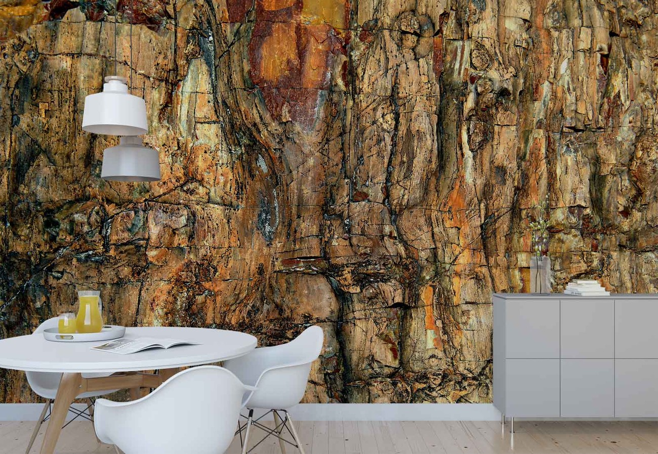 Bark Wall Paper Mural | Buy at EuroPosters