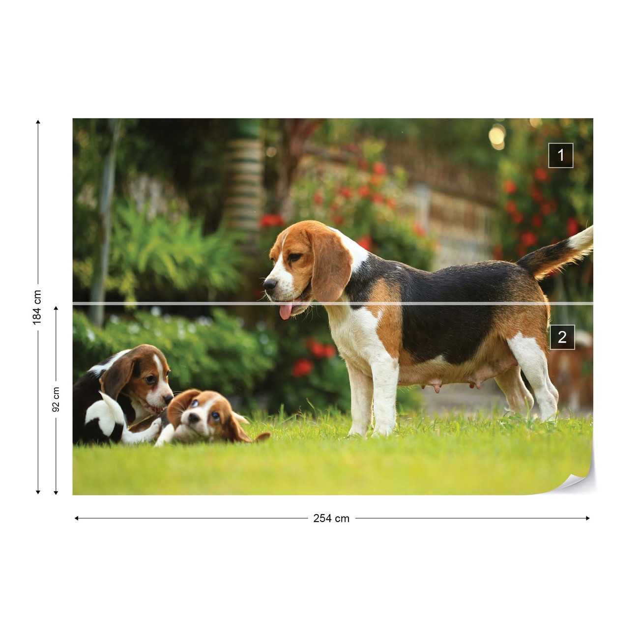Beagle Dog Wall Paper Mural | Buy at EuroPosters
