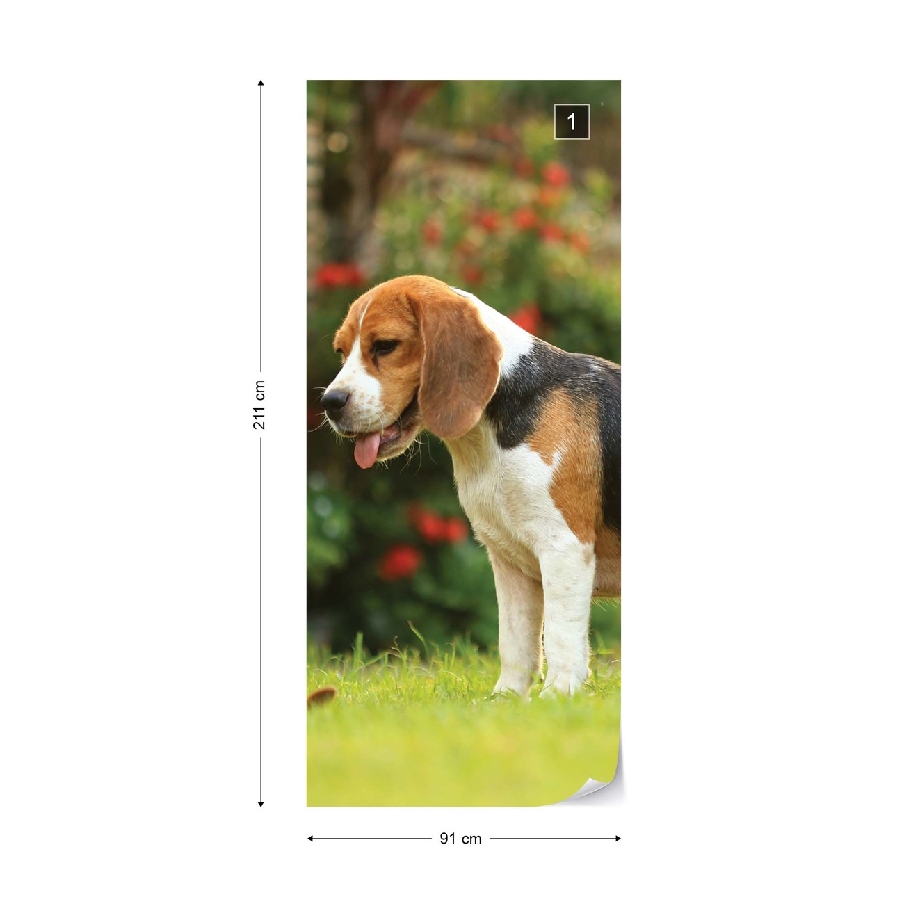 Beagle Dog Wall Paper Mural | Buy at EuroPosters