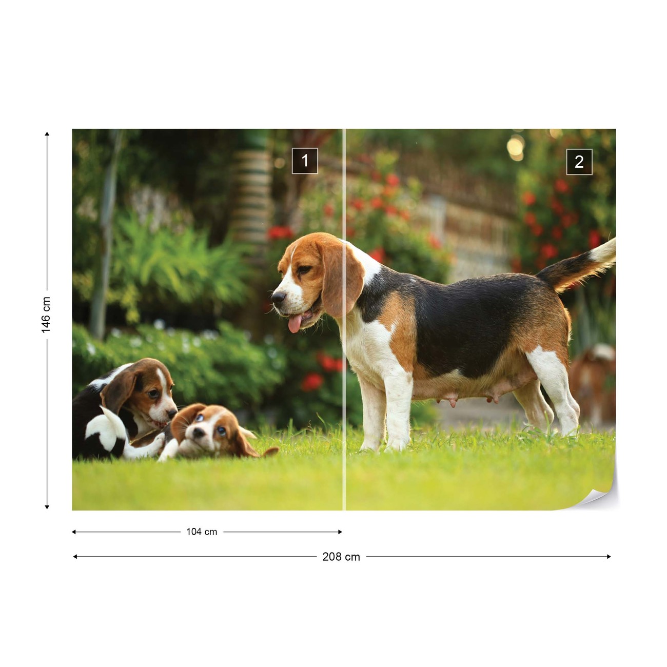 Beagle Dog Wall Paper Mural | Buy at EuroPosters