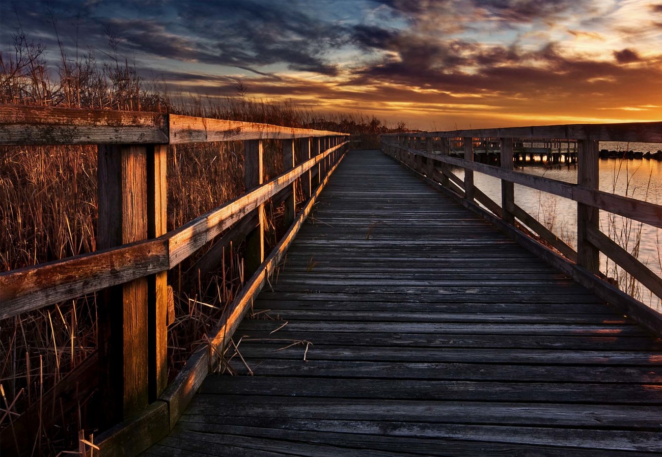 Boardwalk Wall Paper Mural | Buy at EuroPosters