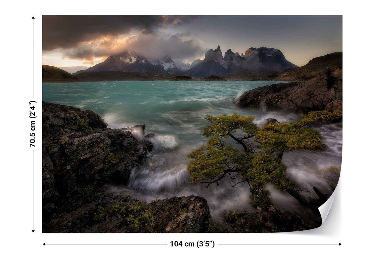 Bonsai Beach Wall Paper Mural | Buy at EuroPosters