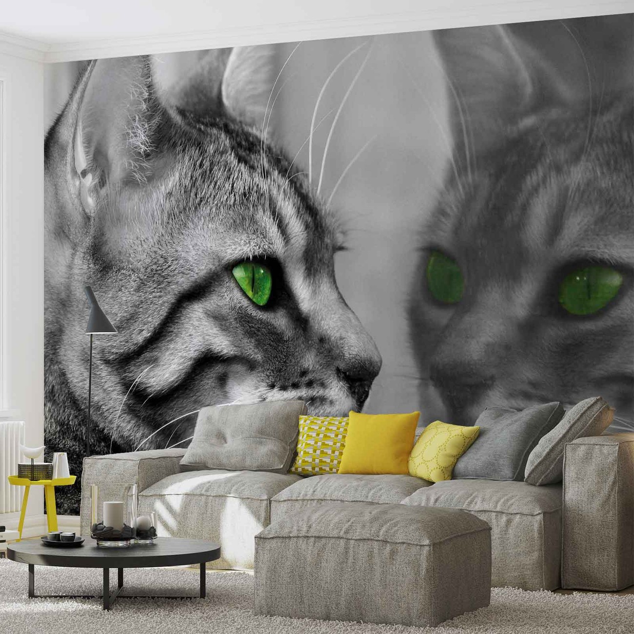 Cat Kitten Wall Paper Mural | Buy at EuroPosters