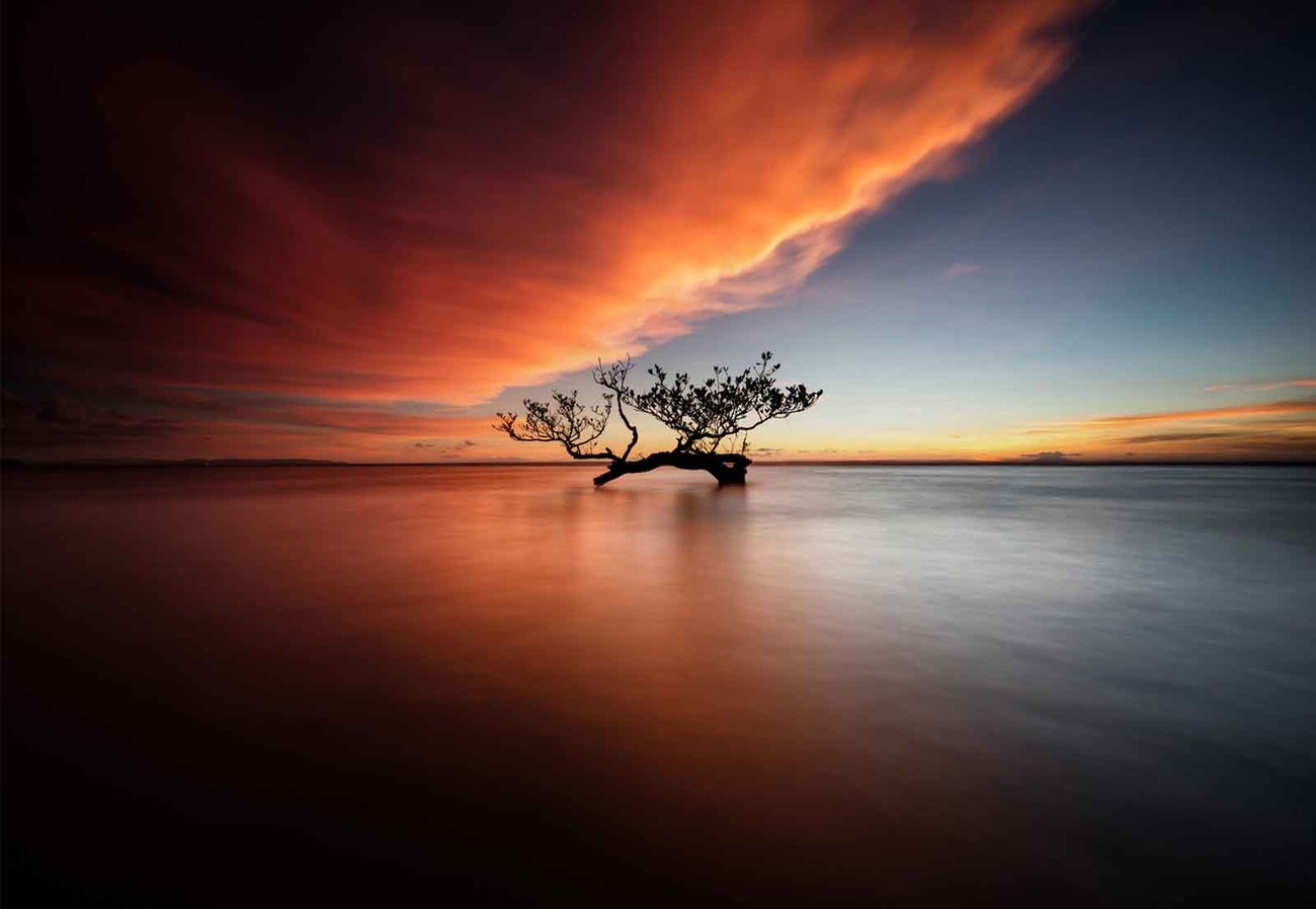 Center Of The Sea Wall Paper Mural | Buy at EuroPosters