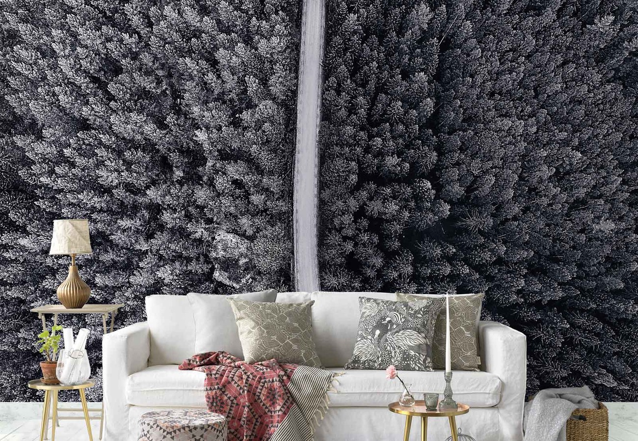 Divided Wall Paper Mural | Buy at EuroPosters