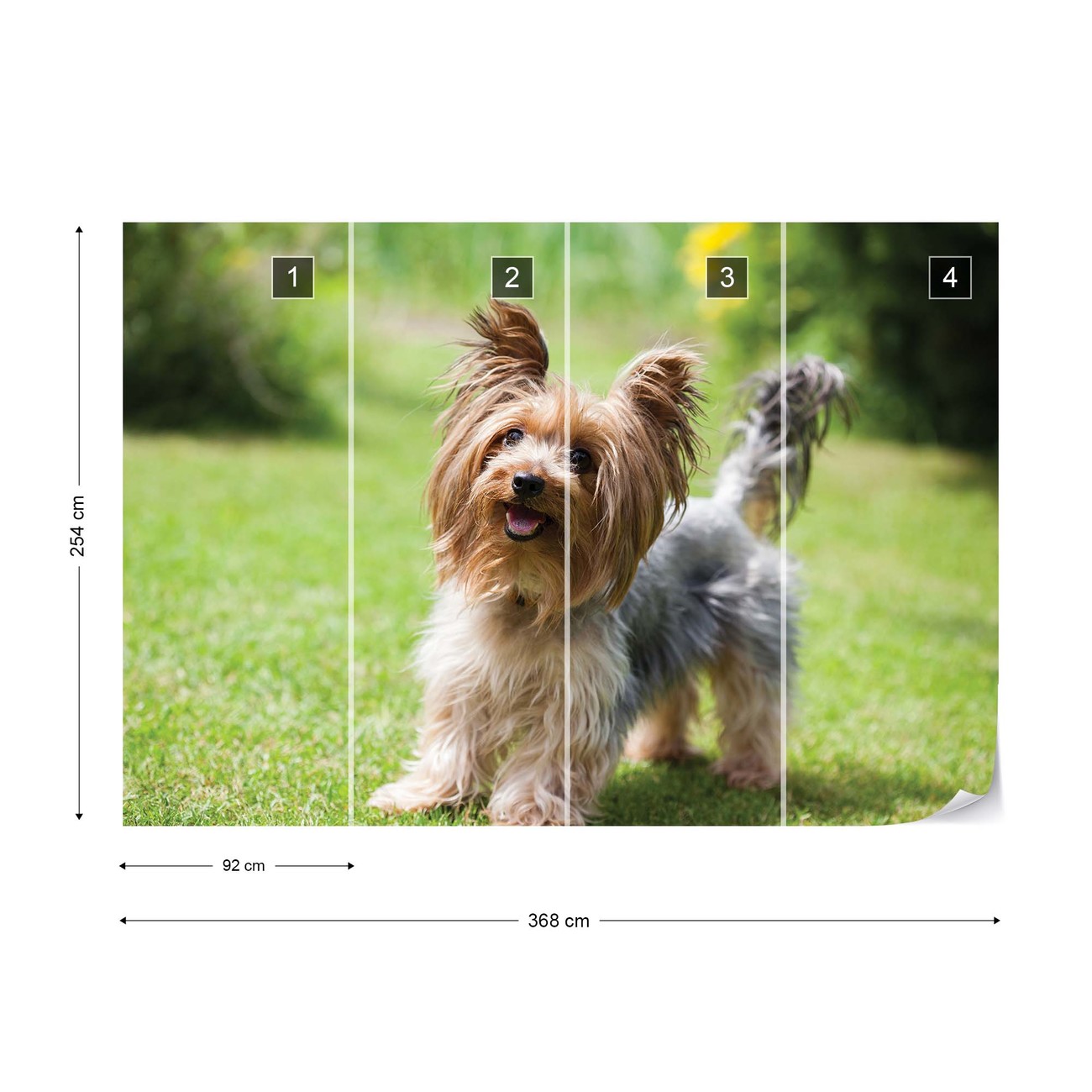 Dog Wall Paper Mural | Buy at EuroPosters