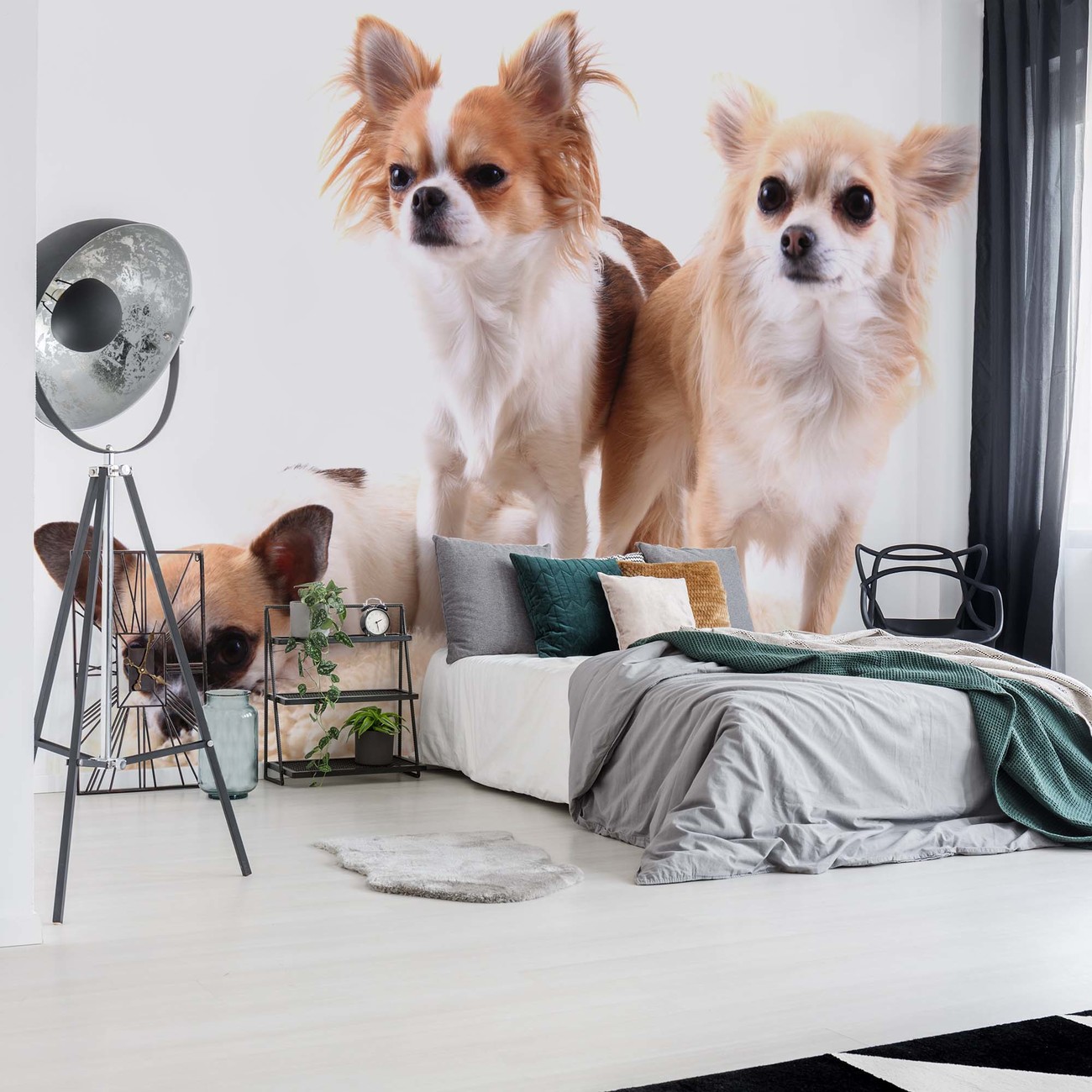 Dogs Wall Paper Mural | Buy at EuroPosters