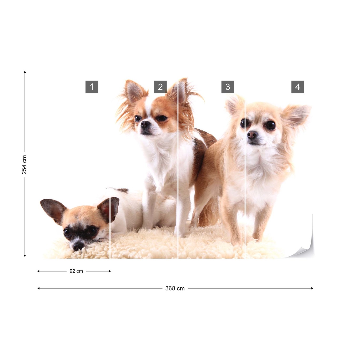 Dogs Wall Paper Mural | Buy at EuroPosters