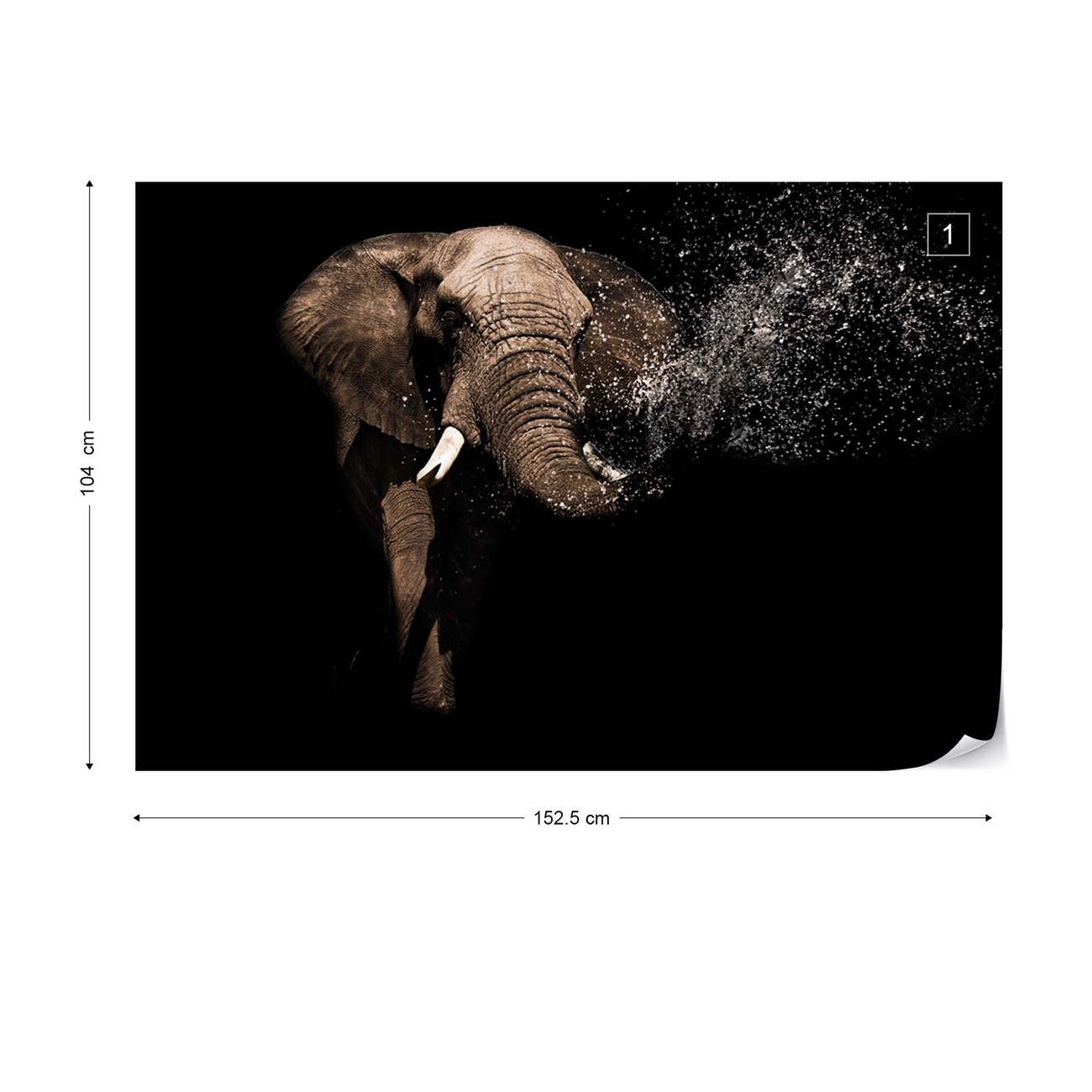 Elephant Wall Paper Mural | Buy at EuroPosters