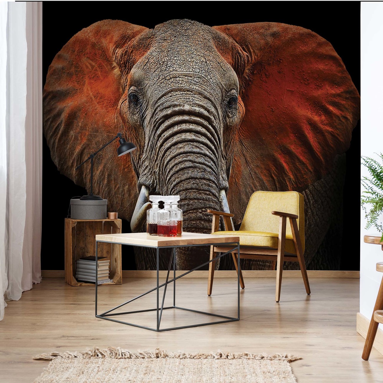 Elephant Wall Paper Mural | Buy at EuroPosters