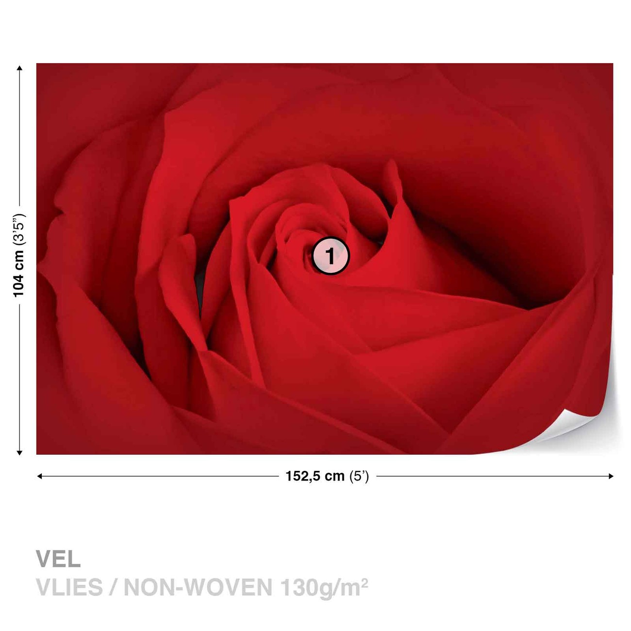 Flower Rose Wall Paper Mural | Buy at EuroPosters